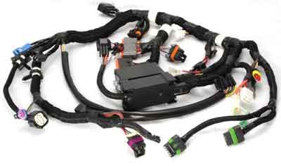 How to Distinguish the Male and Female Auto Wire Terminals? | CNstamping